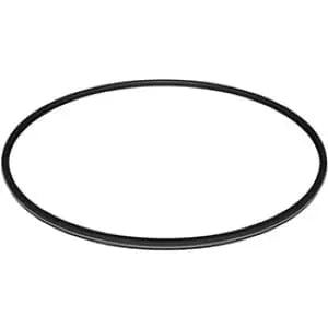 Hayward | DEX2422Z2 | Metal-Reinforced Filter O-Ring Seal – Genuine Re ...
