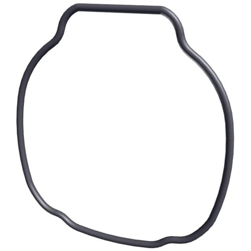 Hayward TriStar & EcoStar Pump Housing O-Ring | SPX3200T – AquaTech ...