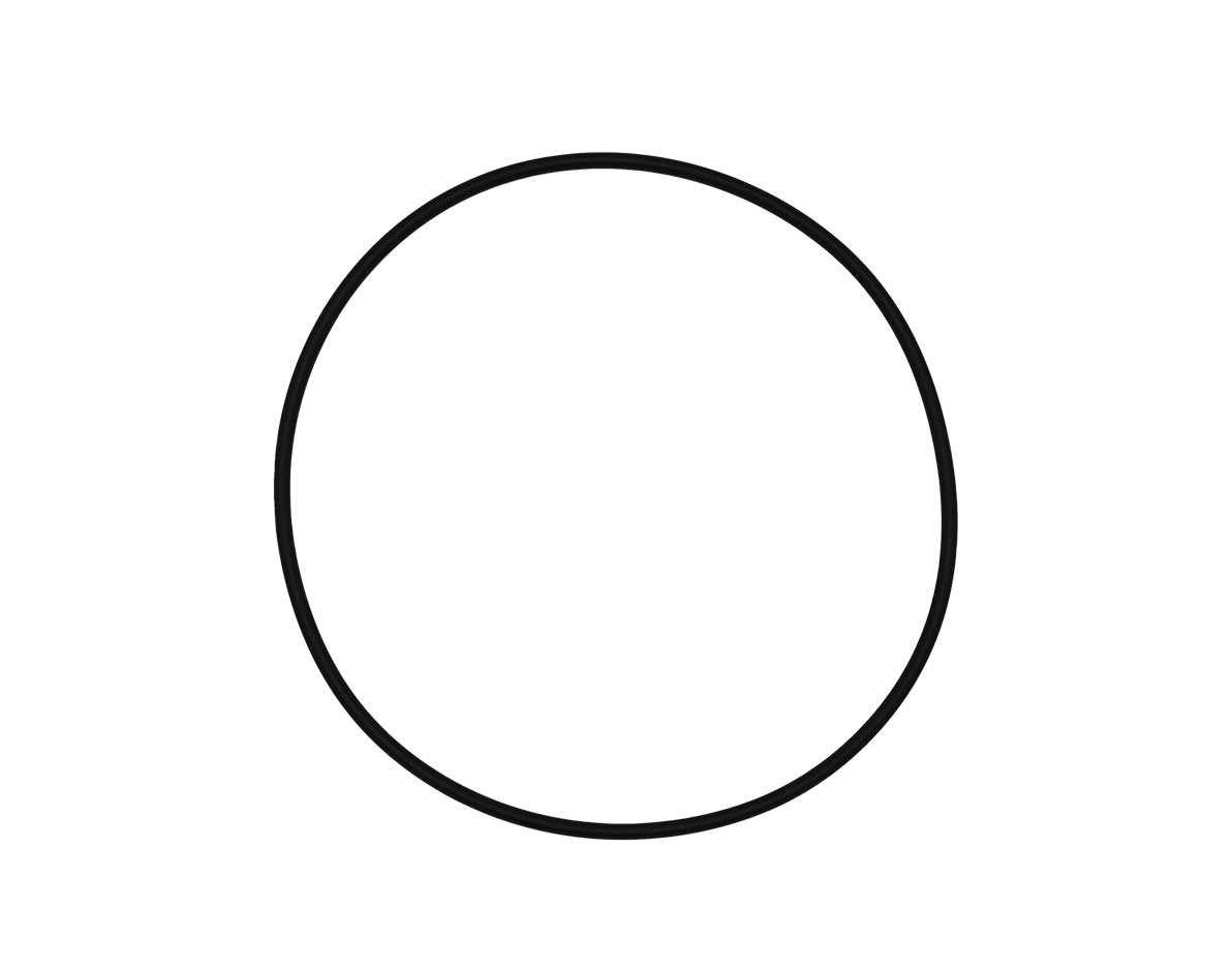 Pentair | 152517 | Tagelus Triton Filter Lid O-Ring | Sand Filter Seal ...